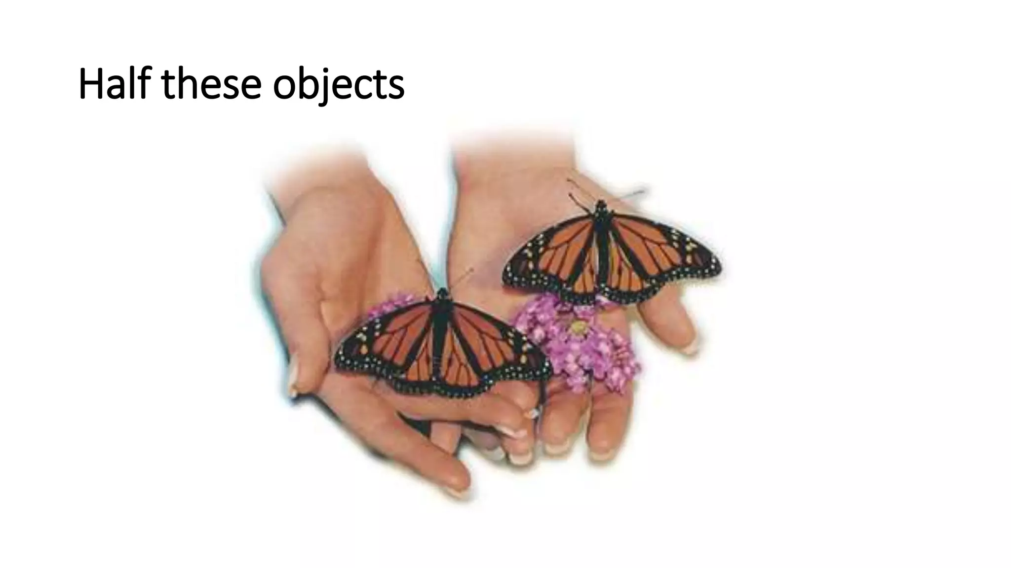 Maths addition and halving P1 | PPT