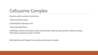 Lbm degradation | PPTX