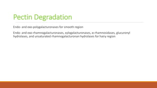 Lbm degradation | PPTX