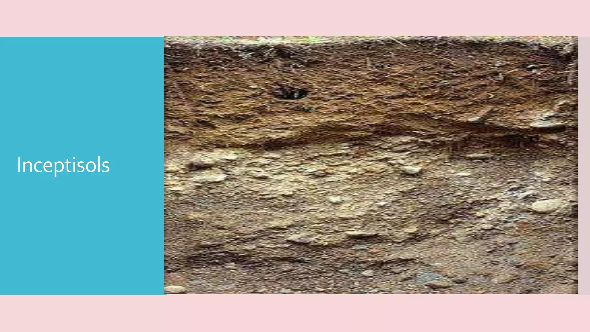 classification of soil | PPTX