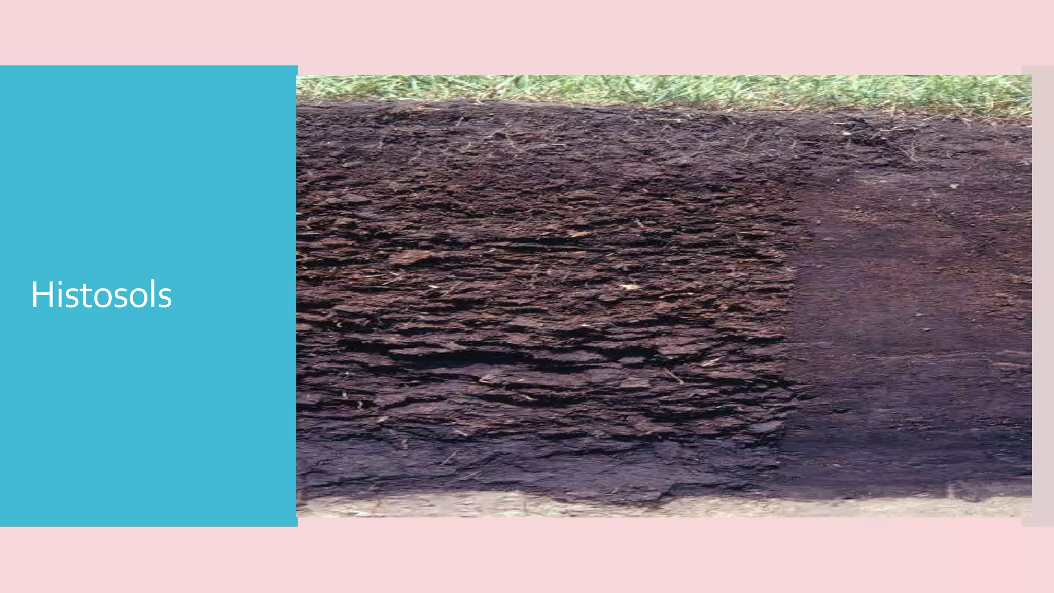 classification of soil | PPTX