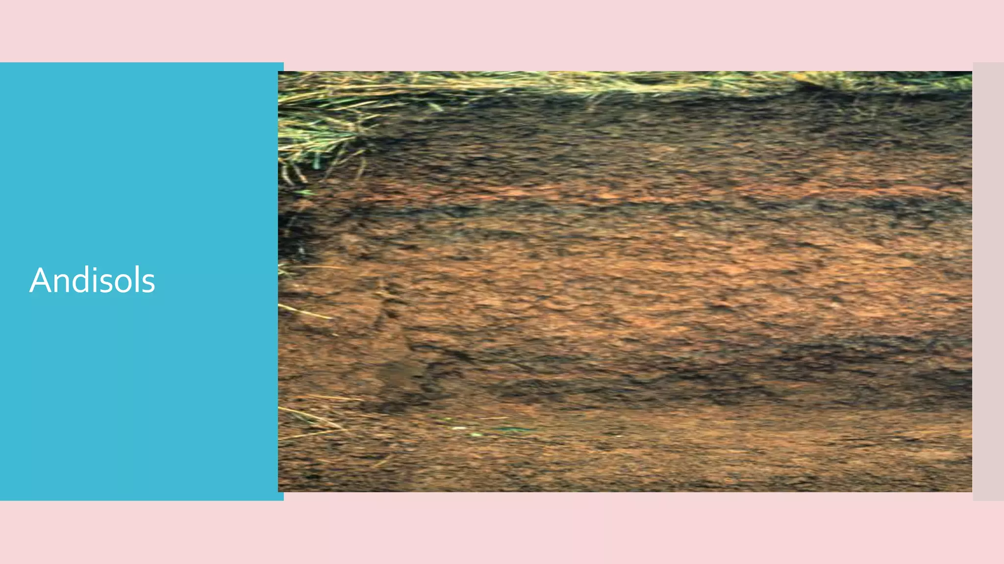 classification of soil | PPTX