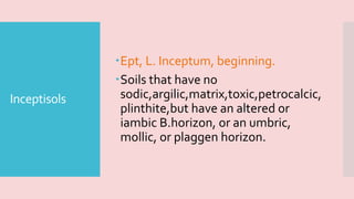 classification of soil | PPTX