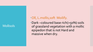 classification of soil | PPTX