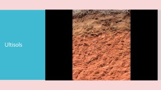 classification of soil | PPTX