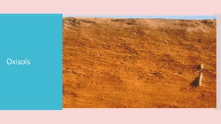 classification of soil | PPTX