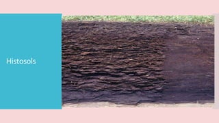 classification of soil | PPTX