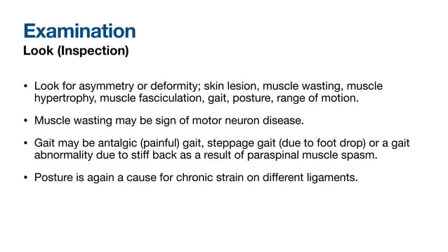 Low Back Pain.pdf | Physical Therapy | Wellness