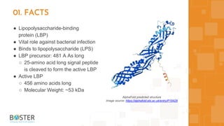 Learn LBP in 3 minutes | Lipopolysaccharide binding protein | PPTX