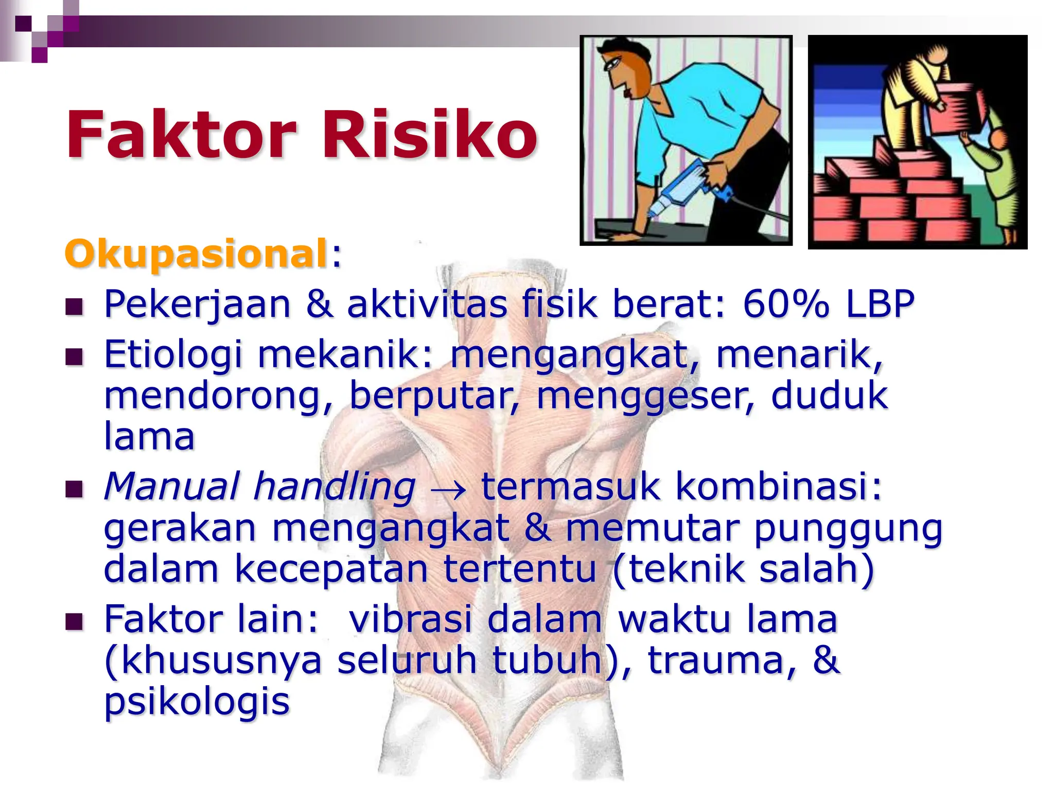 Low Back Pain.ppt