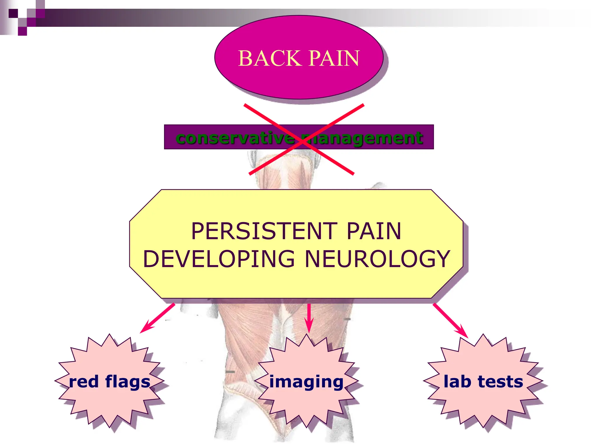 Low Back Pain.ppt