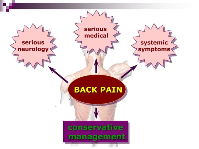Low Back Pain.ppt