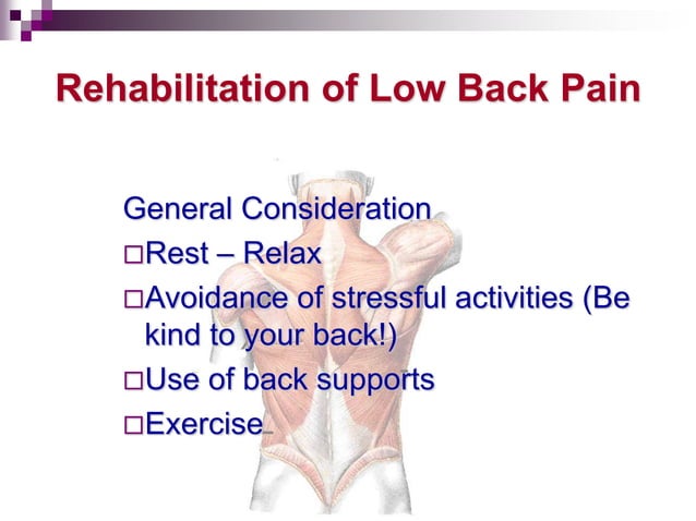 Low Back Pain.ppt