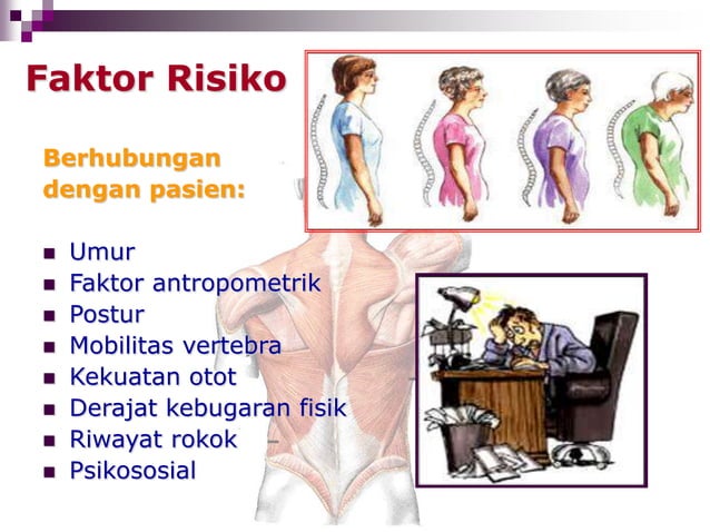 Low Back Pain.ppt