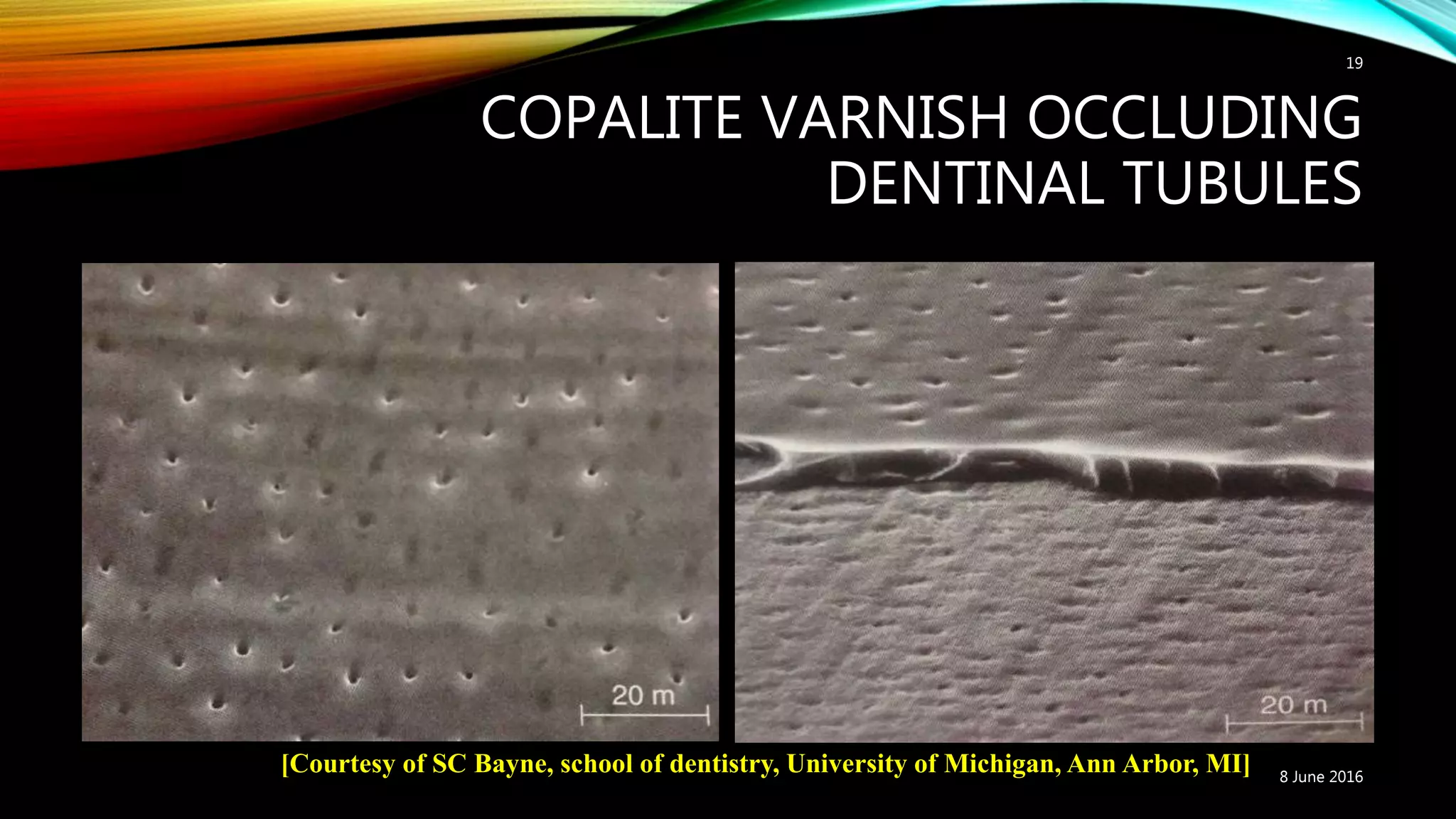 Liner Bases & Varnishes | PPTX