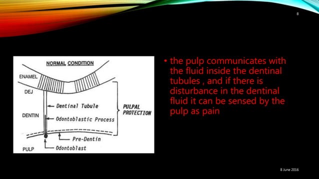 Liner Bases & Varnishes | PPTX | Dental Health | Diseases and Conditions