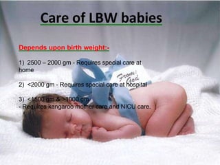 LBW.pptx
