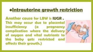Low Birth Weight Babies and their Nursing Care | PPTX