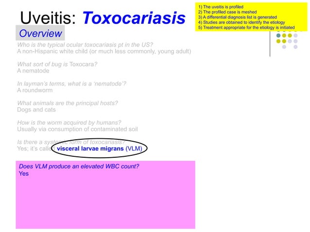 Uveitis ophthalmology anterior, posterior and pan | PPTX | Eye and ...
