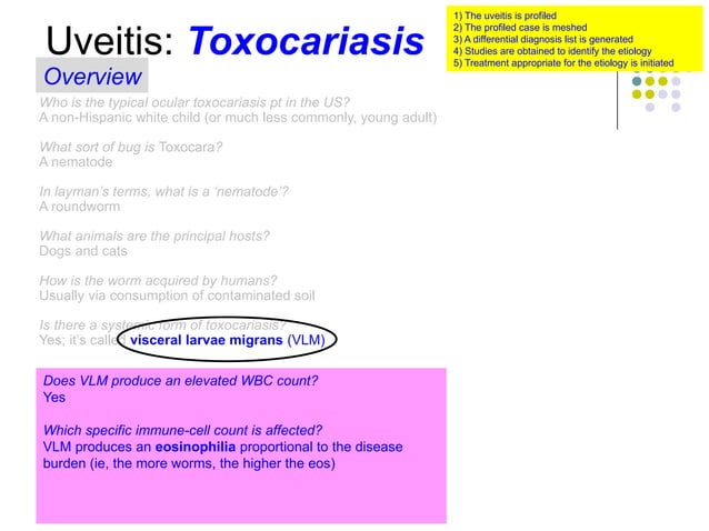 Uveitis ophthalmology anterior, posterior and pan | PPTX | Eye and ...