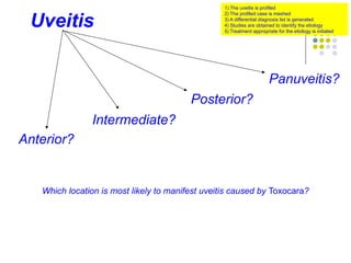 Uveitis ophthalmology anterior, posterior and pan | PPTX