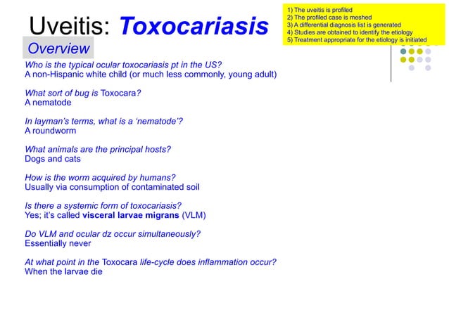 Uveitis ophthalmology anterior, posterior and pan | PPTX | Eye and ...