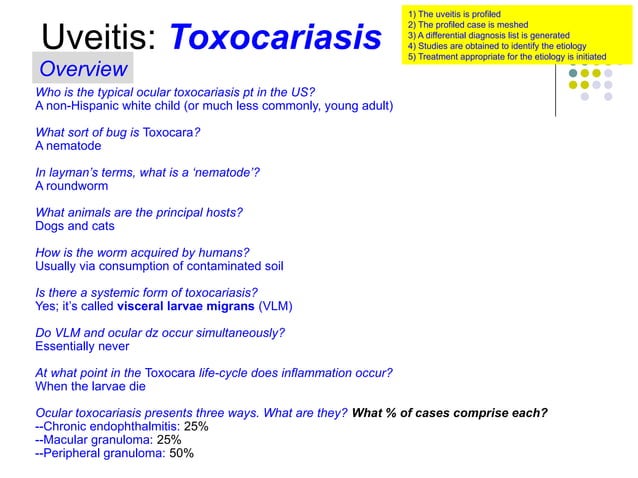 Uveitis ophthalmology anterior, posterior and pan | PPTX | Eye and ...