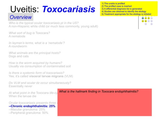 Uveitis ophthalmology anterior, posterior and pan | PPTX | Eye and ...