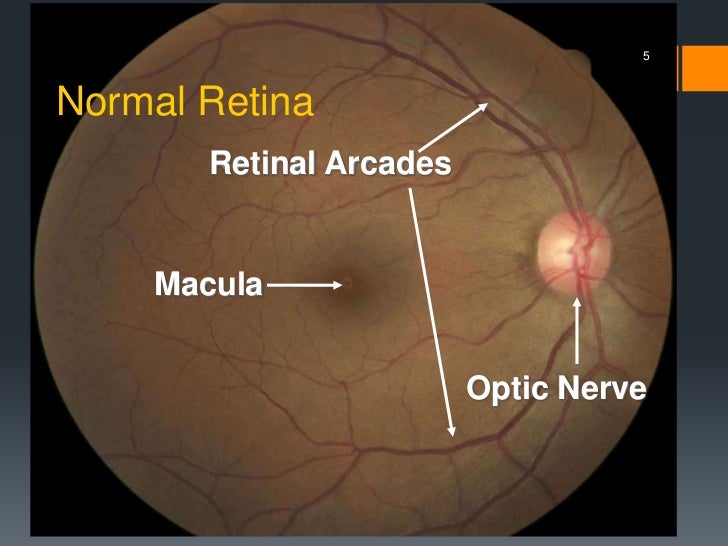 Lc 02-2012-natural history
