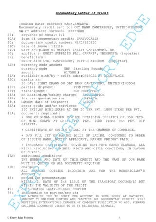 LCSYS DEMO - OUTPUT DOCUMENTS | PDF