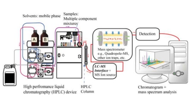 Liquid Chromatography-Mass Spectrometry (LC-MS)