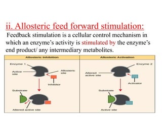 Allosteric Enzyme | PPTX