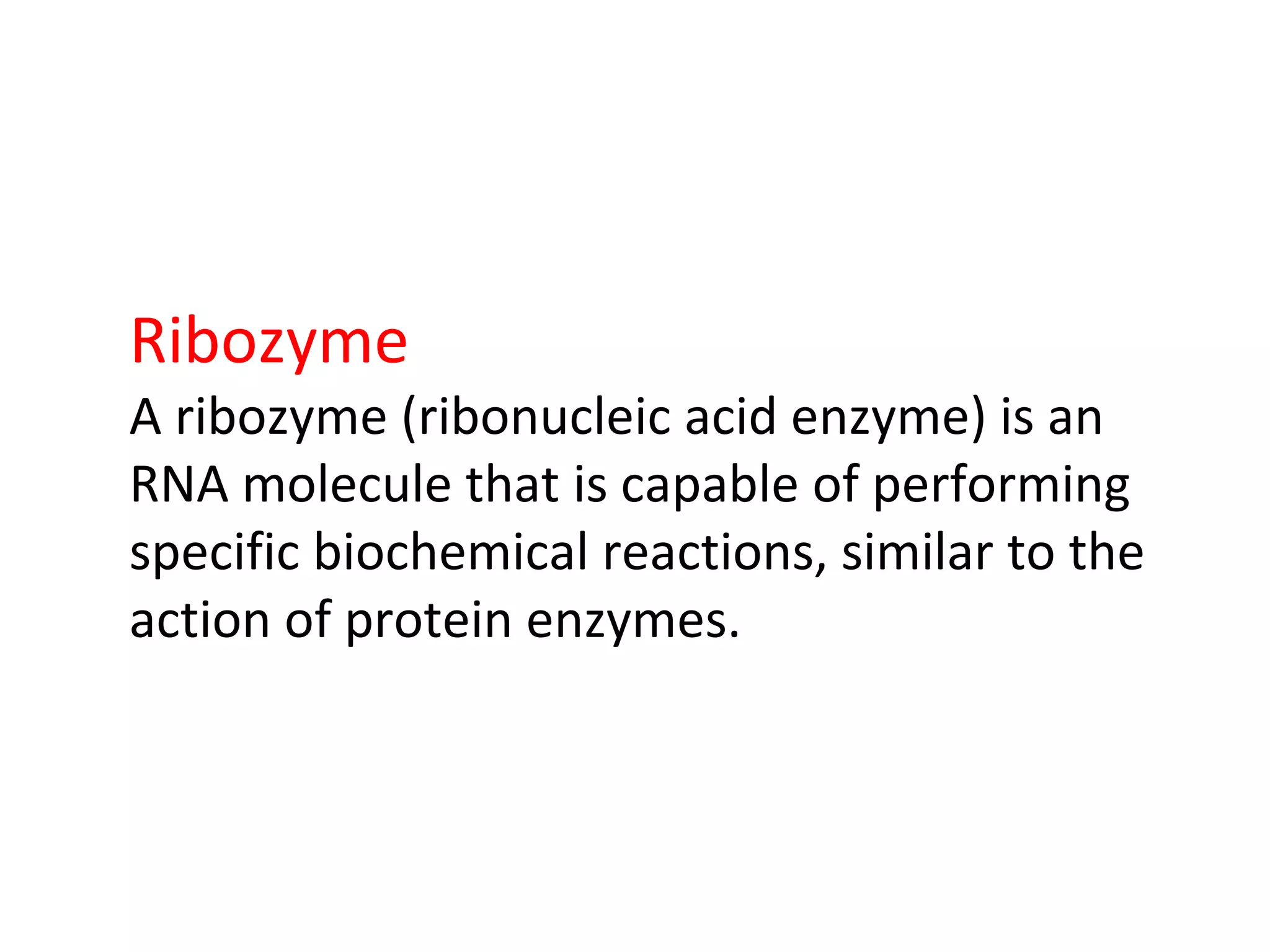 Classification of Ribozyme | PPTX
