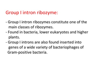 Classification of Ribozyme | PPTX