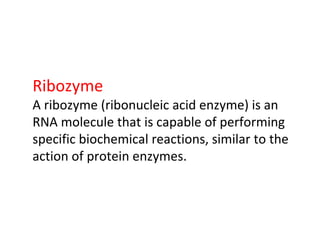 Classification of Ribozyme | PPTX