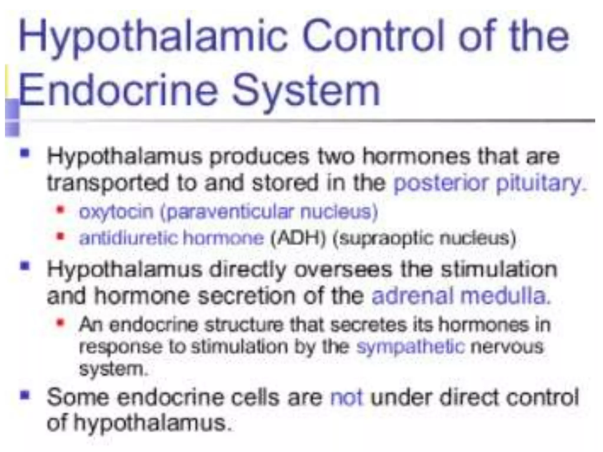 Physiology of Endocrine System | PPTX