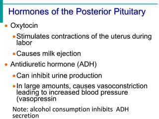 Physiology of Endocrine System | PPTX
