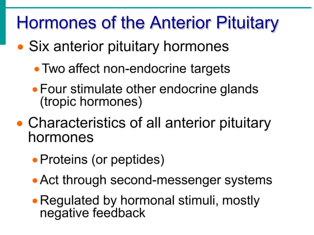 Physiology of endocrine system (types).pptx