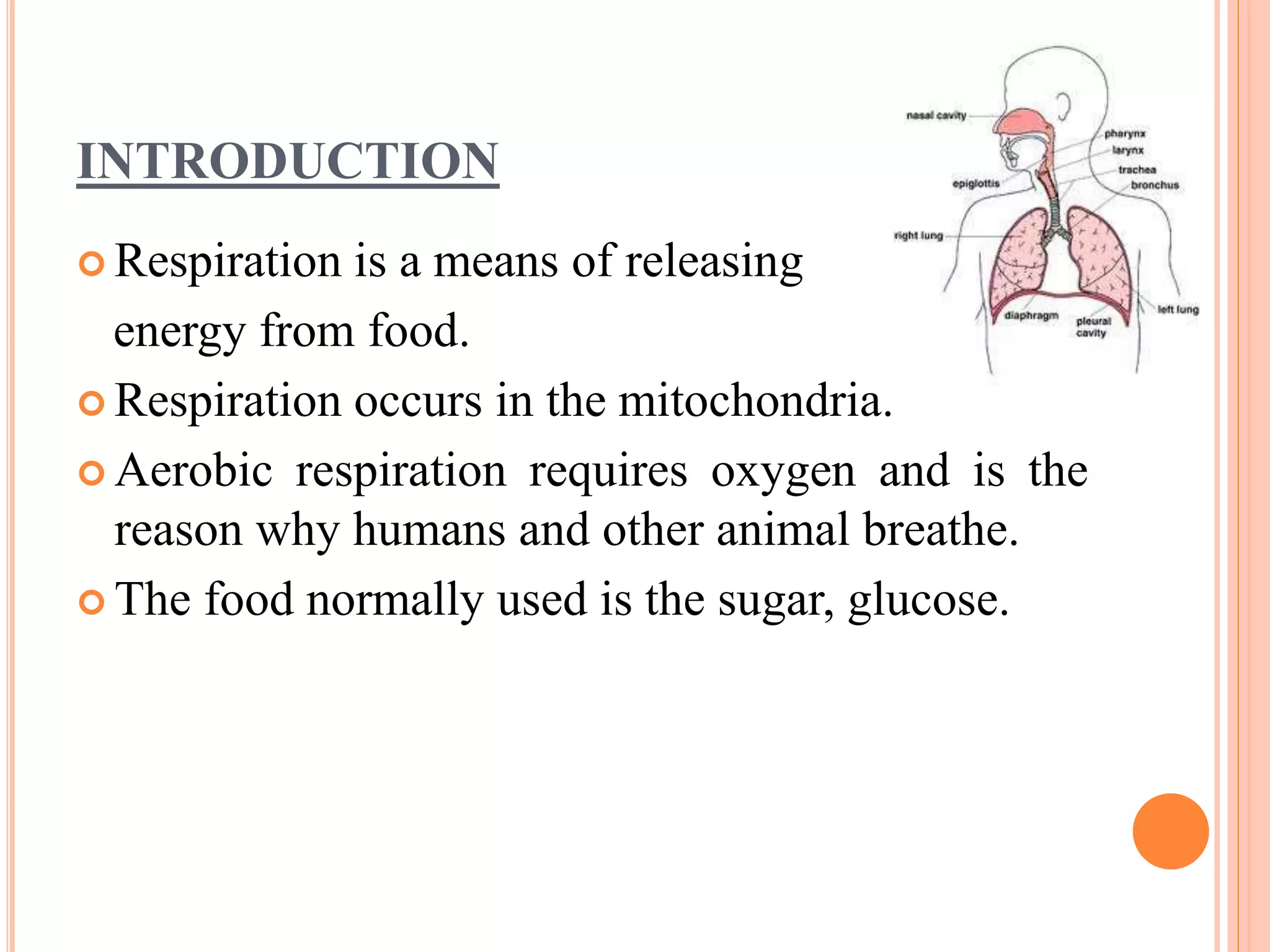 life_process_and_homeostasis.pptx