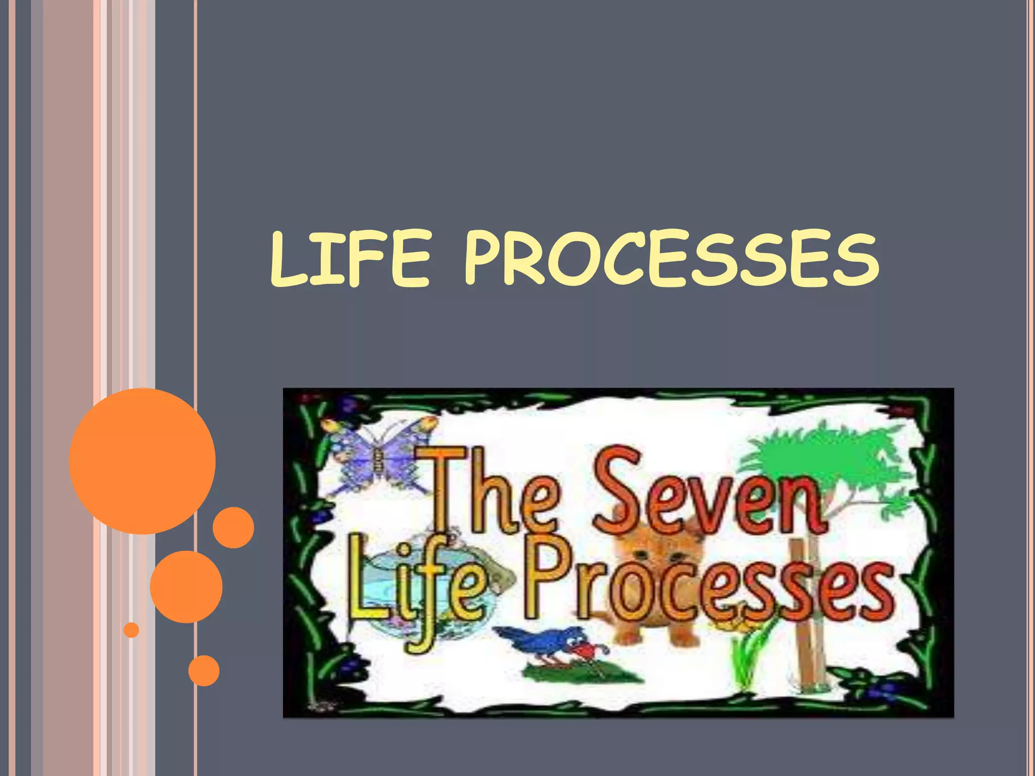 life_process_and_homeostasis.pptx