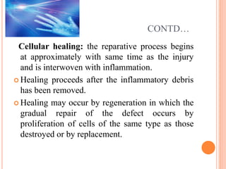 life_process_and_homeostasis.pptx
