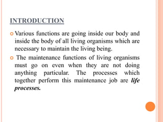 life_process_and_homeostasis.pptx