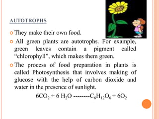 life_process_and_homeostasis.pptx