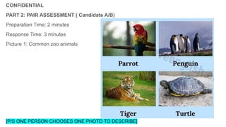Individual, pair, group: Speaking Practice A,.pptx