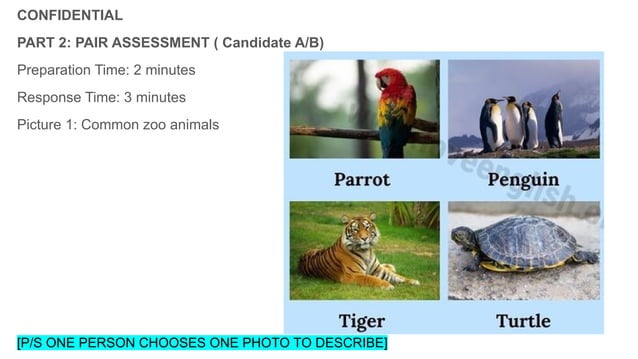 Individual, pair, group: Speaking Practice A,.pptx