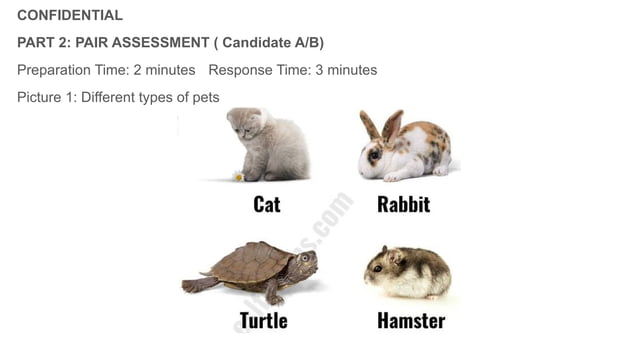 Individual, pair, group: Speaking Practice A,.pptx