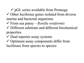 Lc,cat,gfp,gal | PPTX
