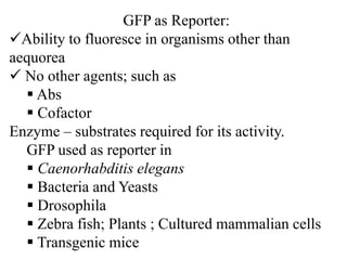Lc,cat,gfp,gal | PPT