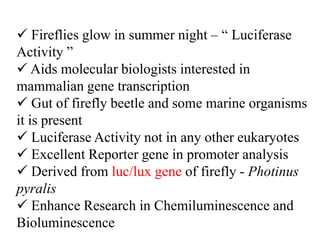 Lc,cat,gfp,gal | PPT
