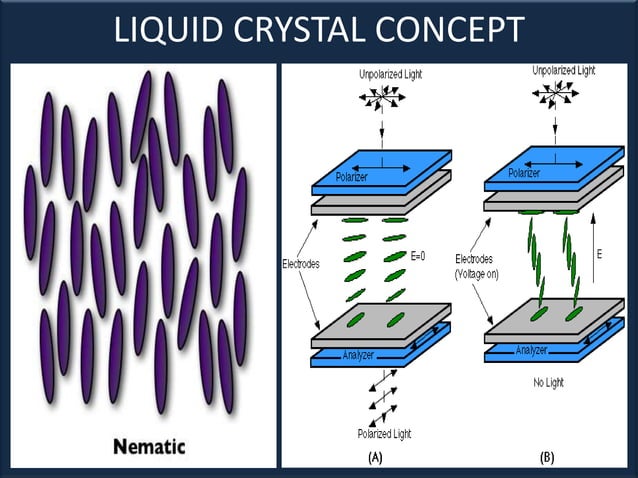 liquid crystal display | PPT